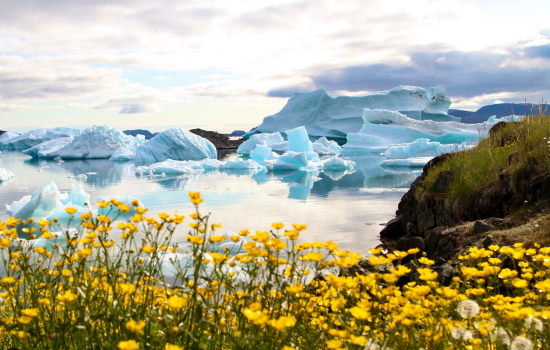 Greenland Wilderness Adventure - Greenland Expedition