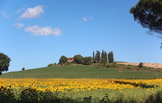 The Italian Camino Trek - Via Francigena | Camino Trekking