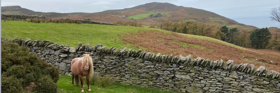 A Guide to the Welsh 3000's | Adventurous Ewe Welsh 3000's Challenge
